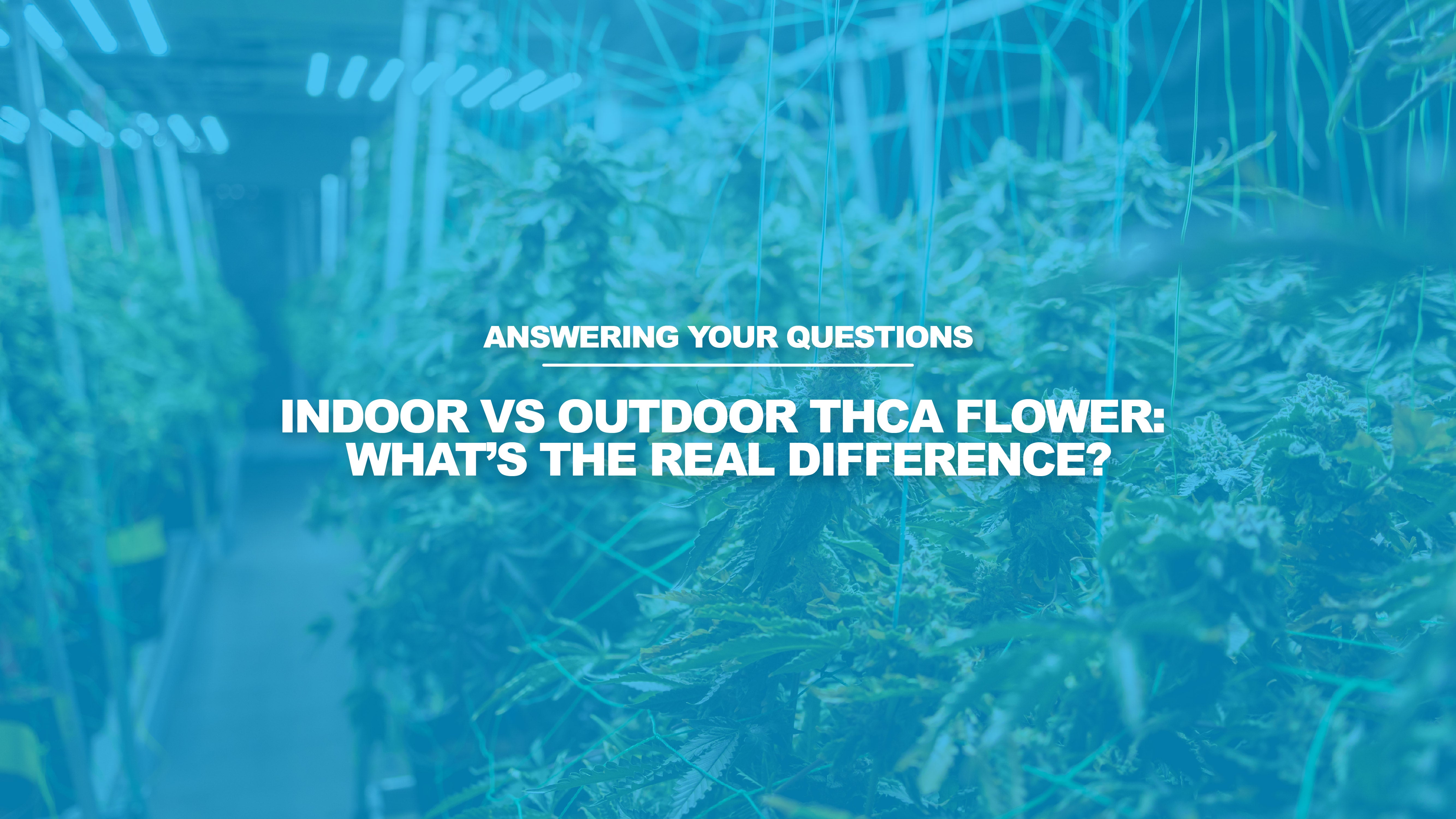 Indoor vs Outdoor THCA Flower: What’s the Real Difference? – Little High
