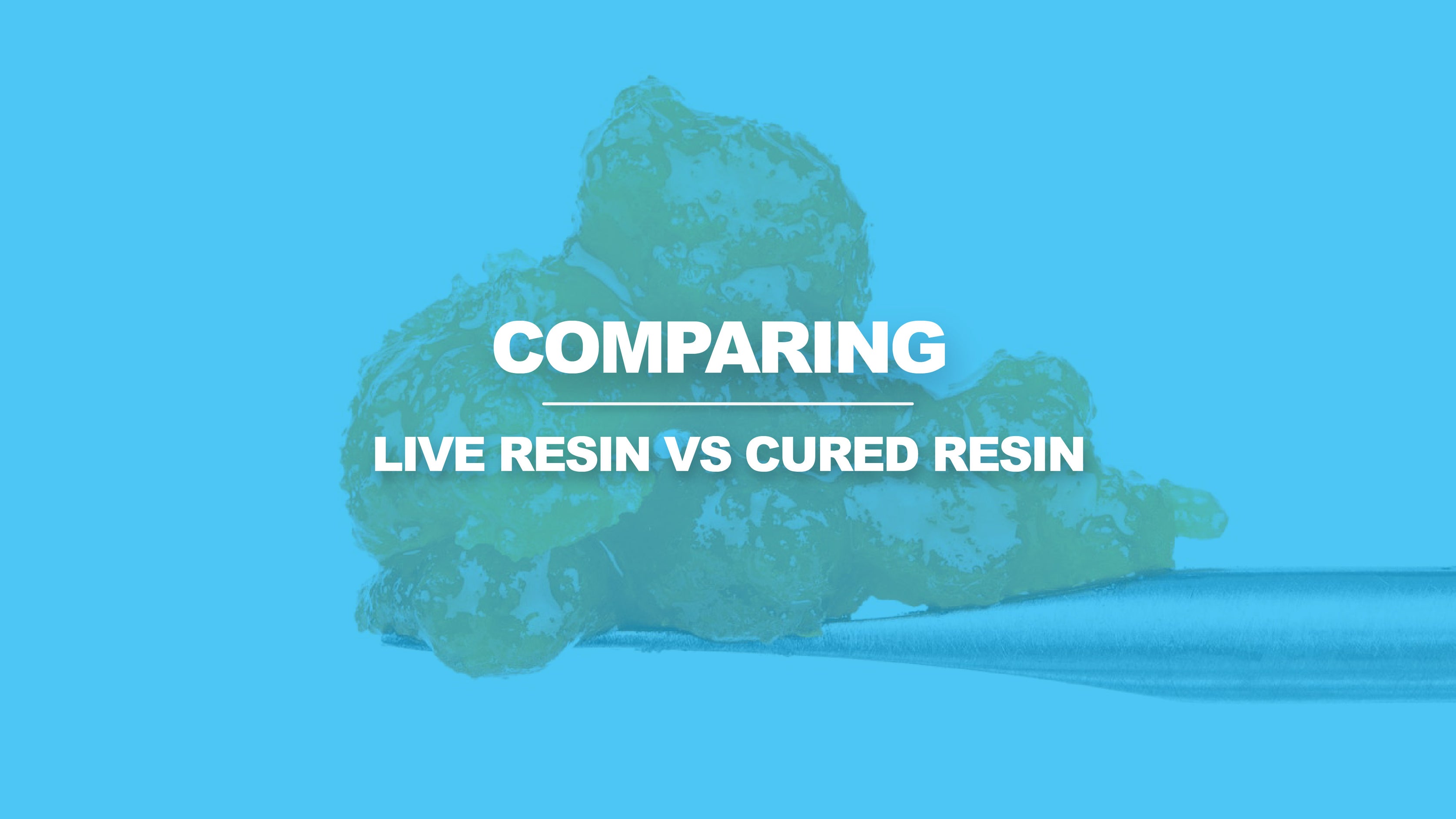 Live Resin Vs Cured Resin | Little High