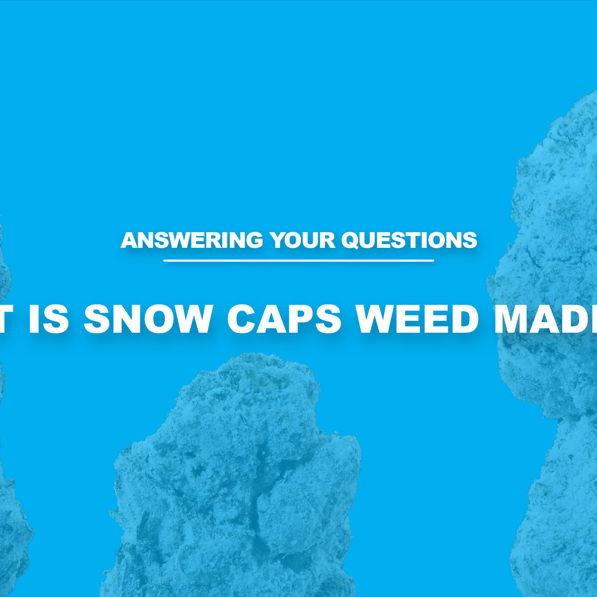 What is Snow Caps Weed Made Of? – Little High