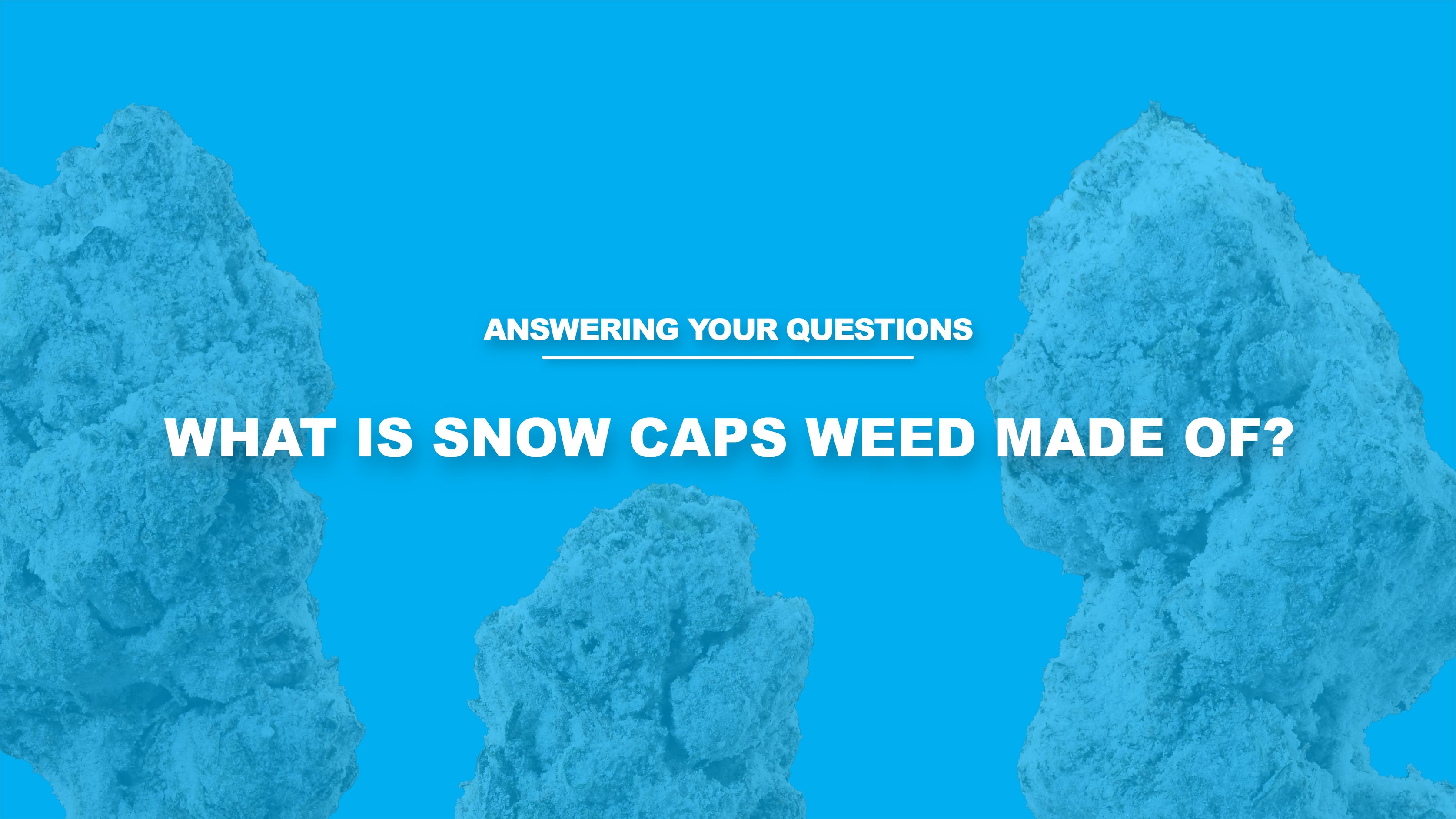 What is Snow Caps Weed Made Of? – Little High