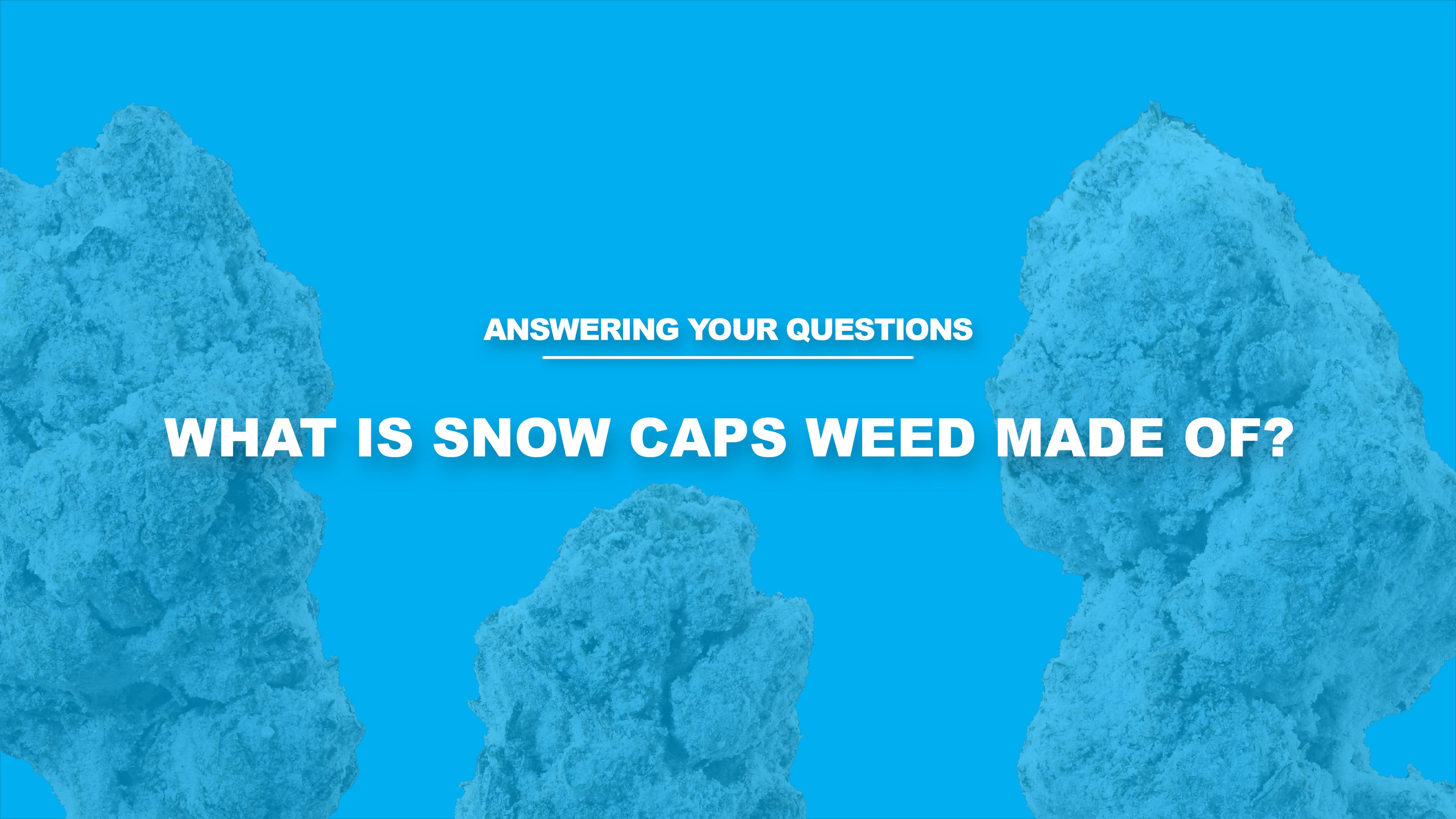 What is Snow Caps Weed Made Of? – Little High