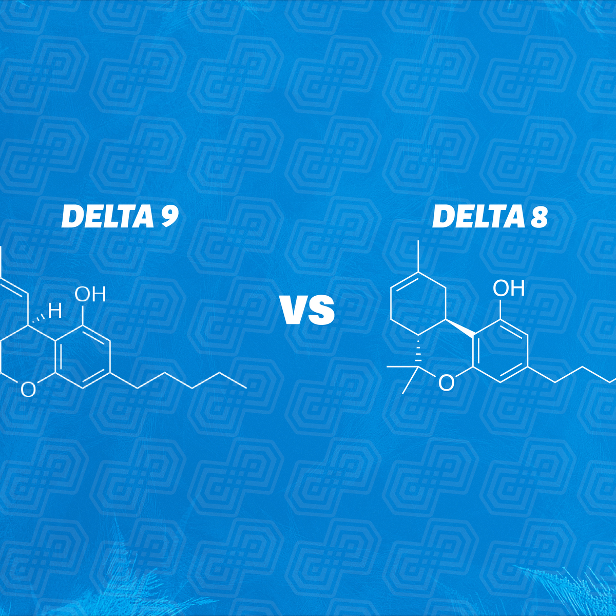 Delta 9 VS Delta 8: A Complete Comparison | Little High