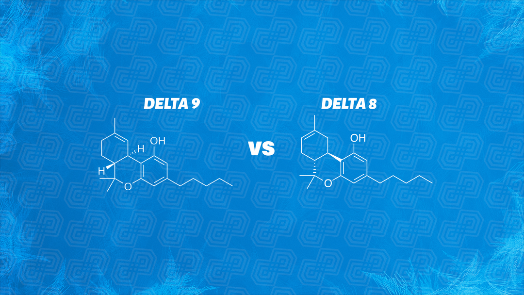 Delta 9 VS Delta 8: A Complete Comparison | Little High