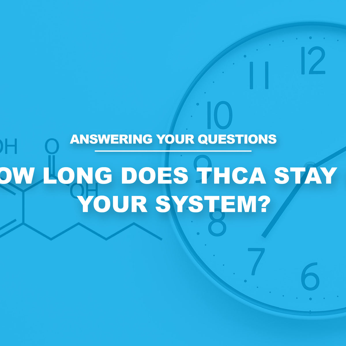 How Long Does THCA Stay in Your System? – Little High