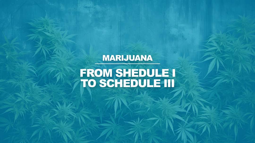 Breaking the Chains: The Journey of Marijuana from Schedule I to ...
