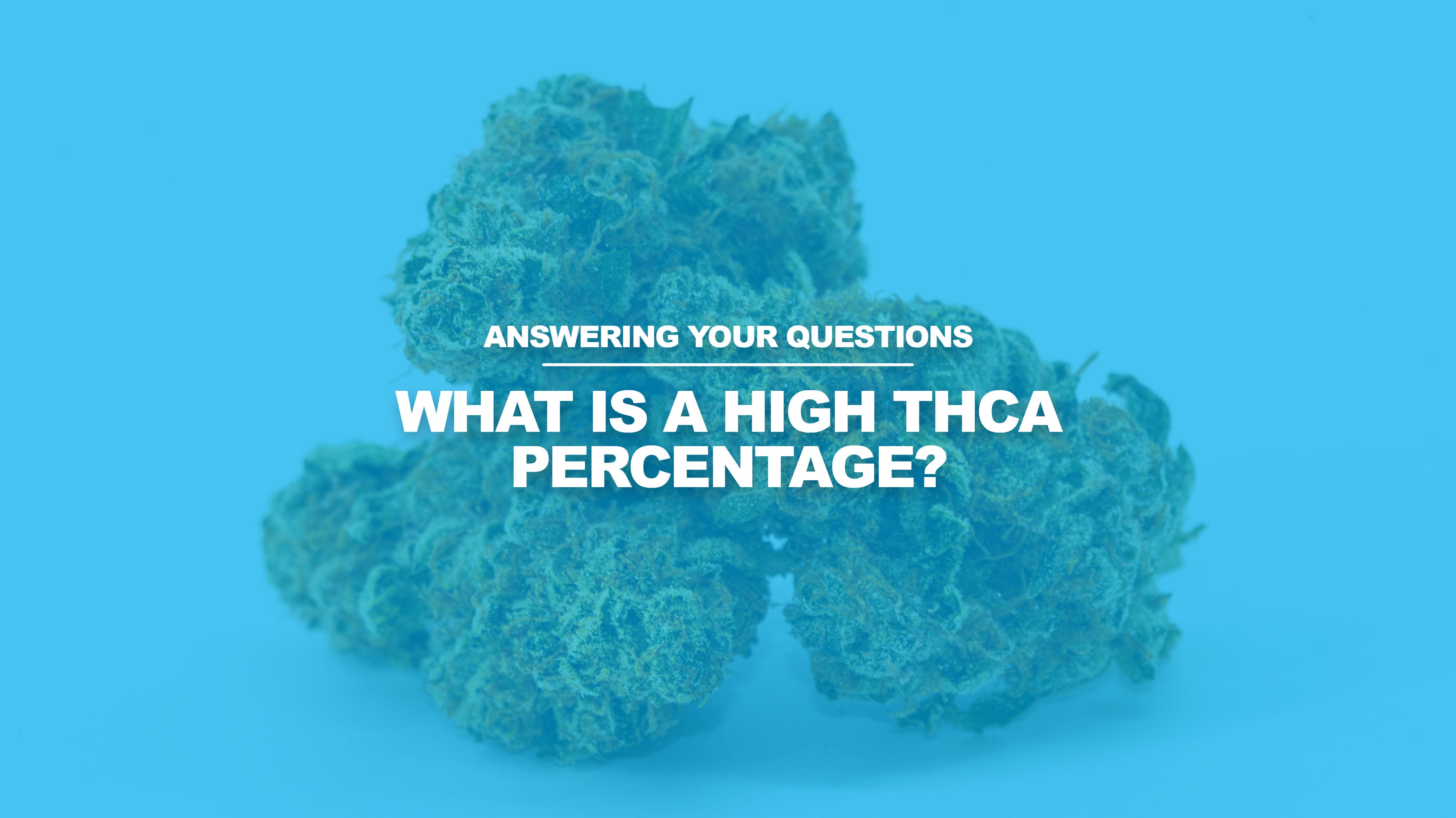 What Is A High THCA Percentage Little High