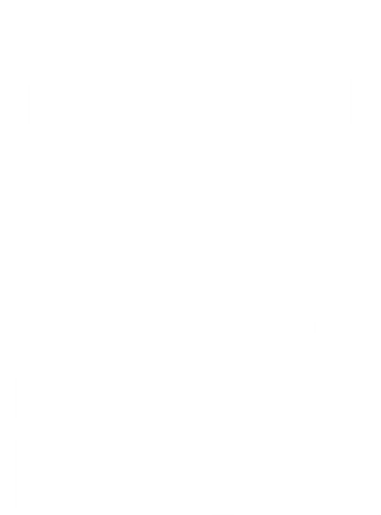 Dabwoods Disposables Vapes | THCA & Delta 8 Disposables | Little High