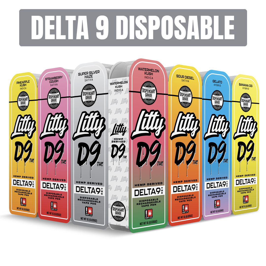Delta 9 Disposable Vape- Litty Extracts | Little High